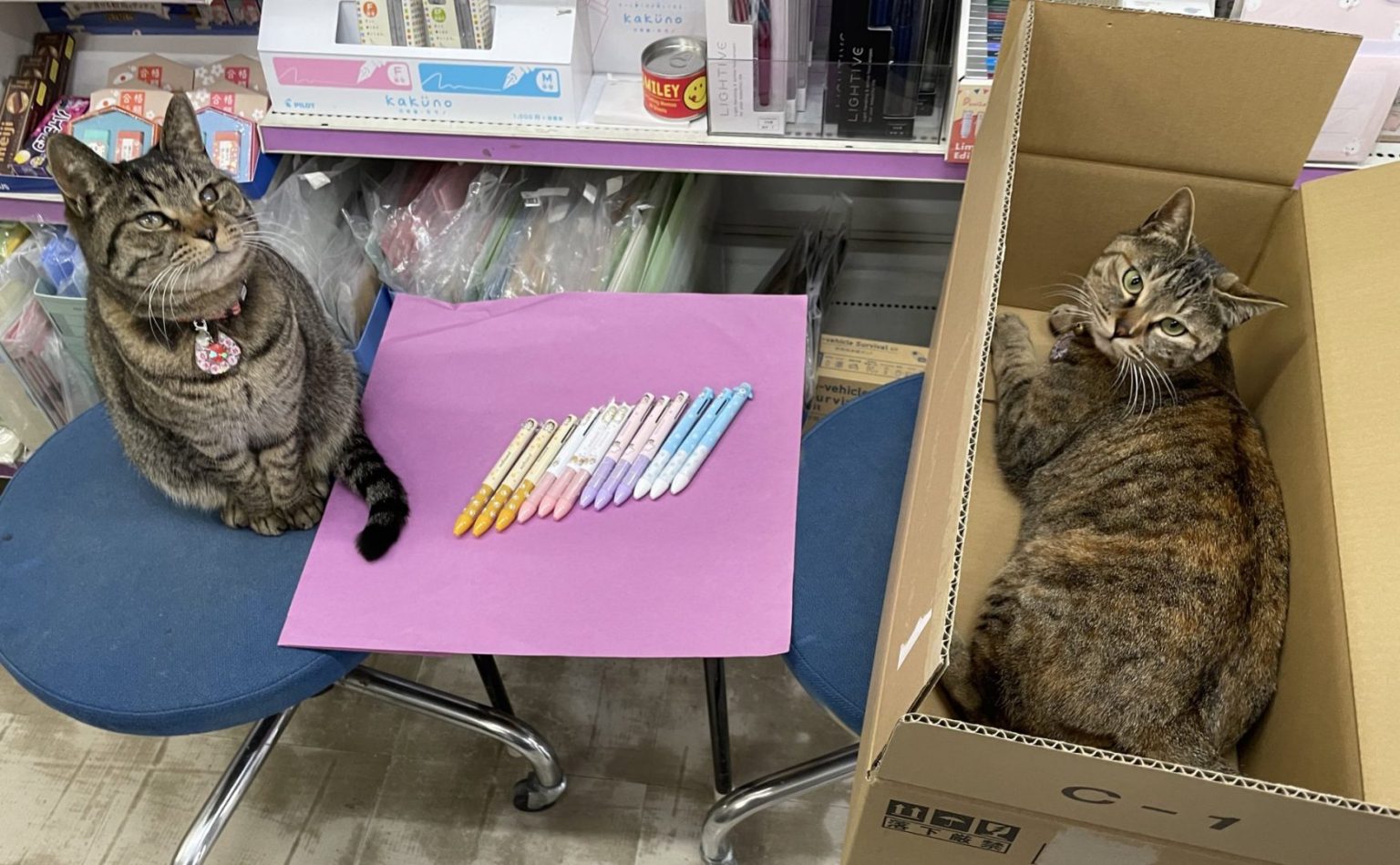 サカモト 2色ボールペン mimiペン mofusand ウサギ | 万年堂ネットショップ